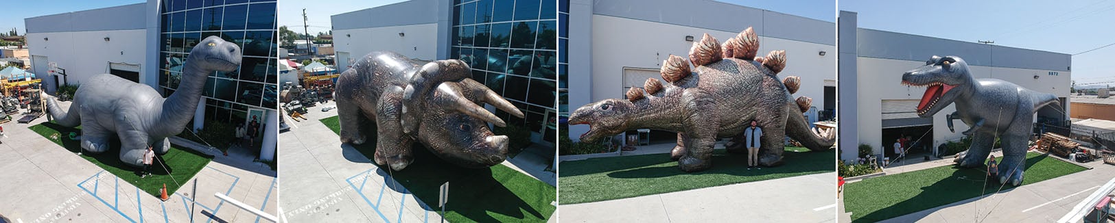 Inflatable Dinosaurs | Custom Dinosaur Inflatables