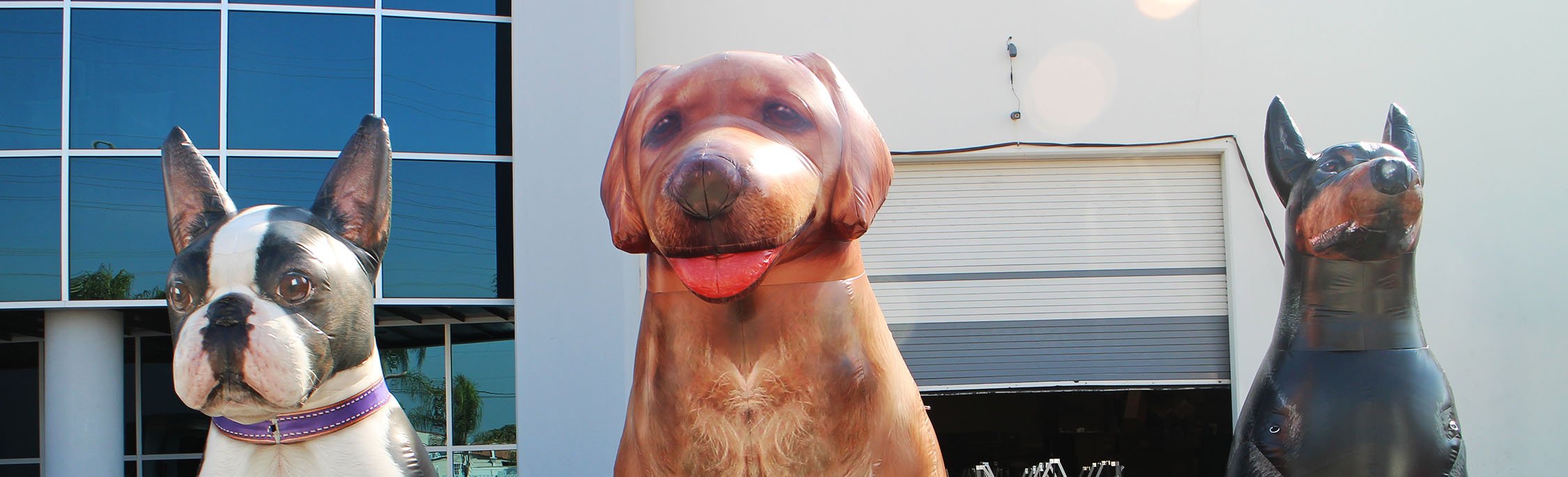 Inflatable Dog | Inflatable Products - Inflatable Animals