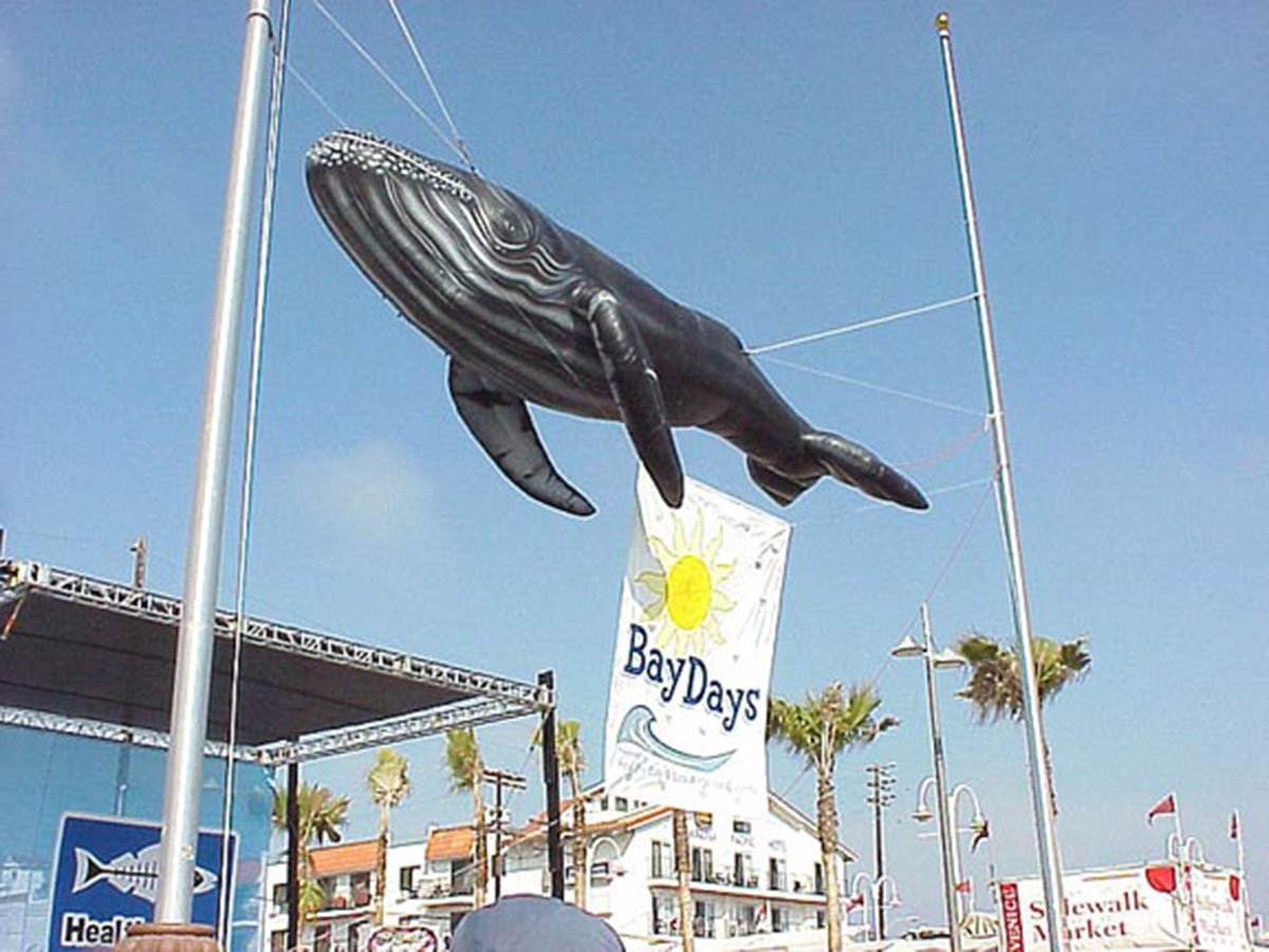 Inflatable Whale | Inflatable Animals - Inflatable Products