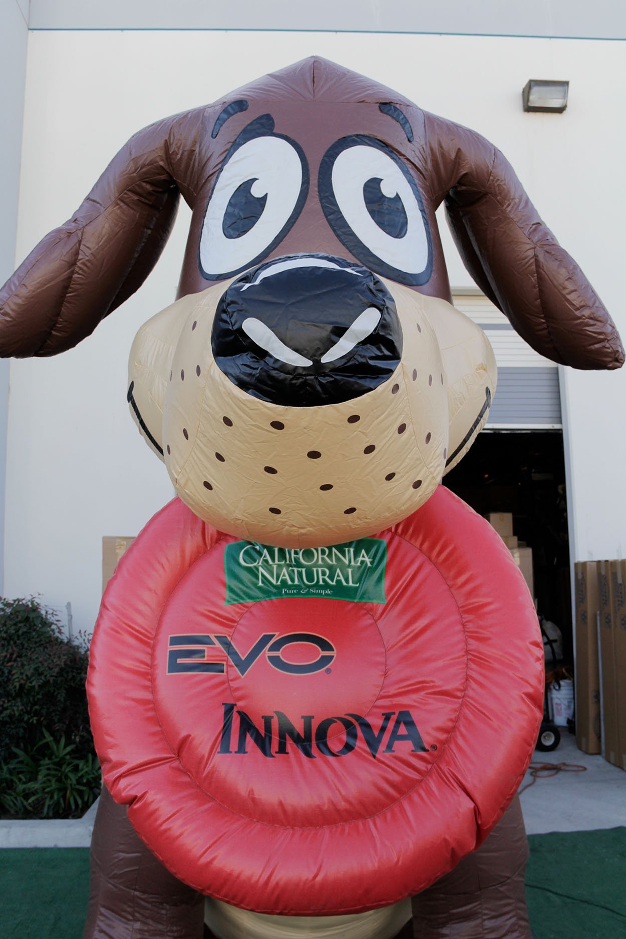 California Natural Dog | Custom Inflatables - Inflatable Animals