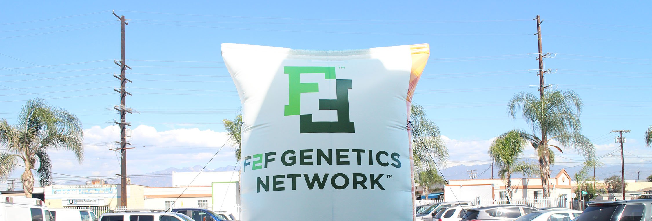 F2F Genetics Network Seed Bag | Inflatable Replica | Custom Prop