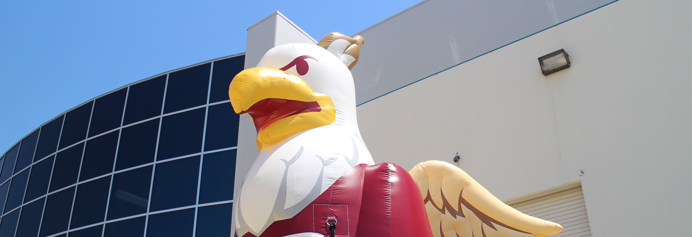 MacEwan University Griffin | Inflatable Animal | Promotional Prop