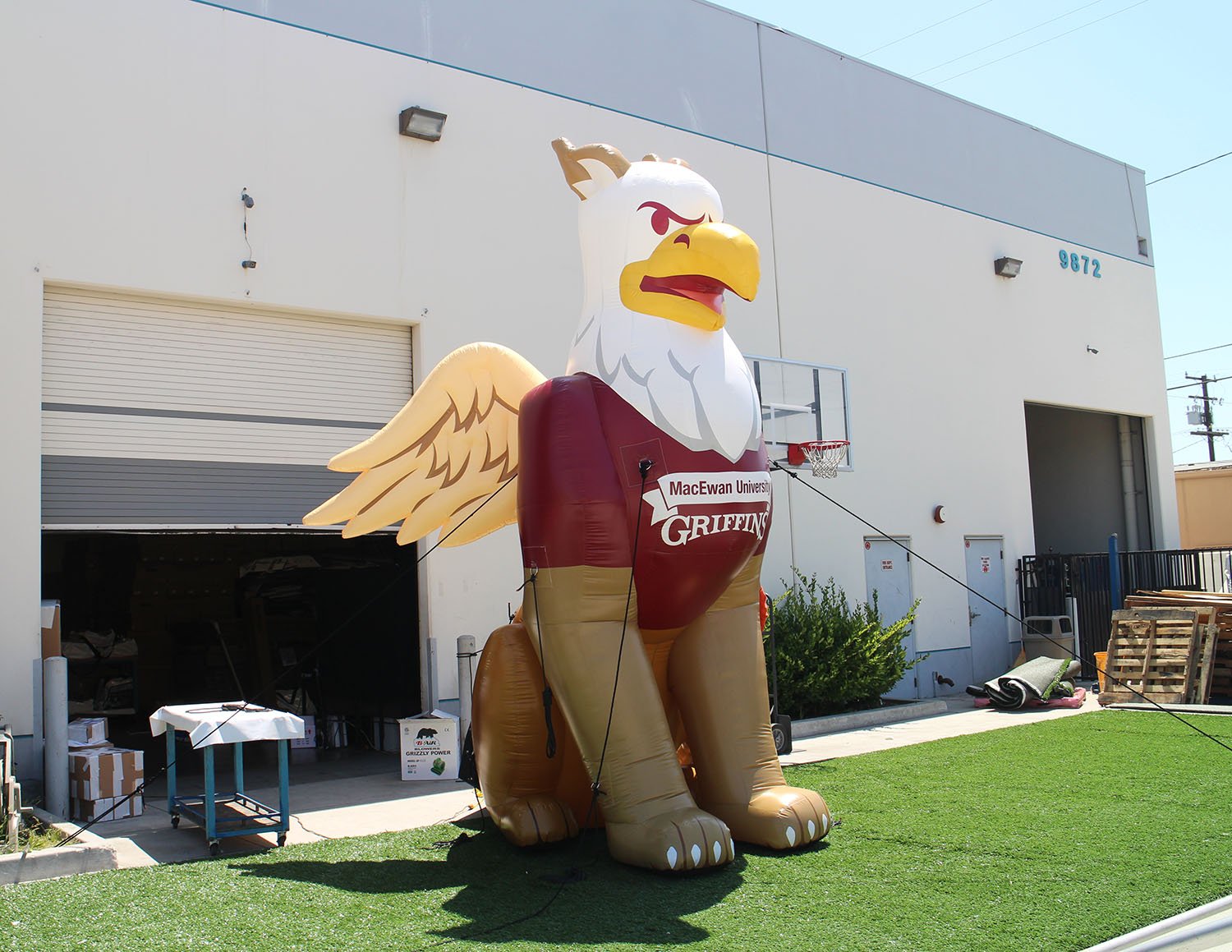 MacEwan University Griffin | Inflatable Animal | Promotional Prop