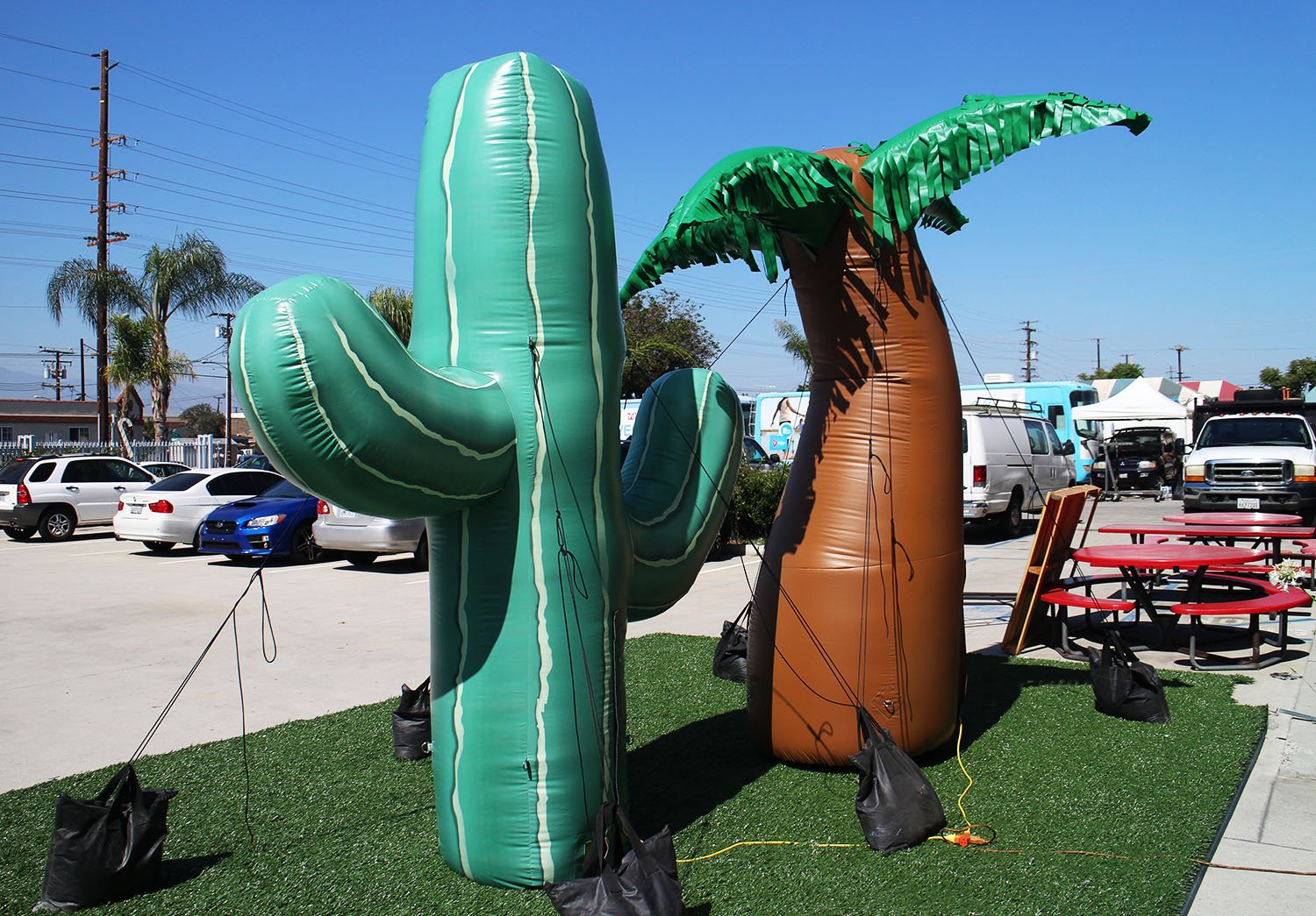 Palm and Cactus Replicas | Inflatable Replica | Custom Prop