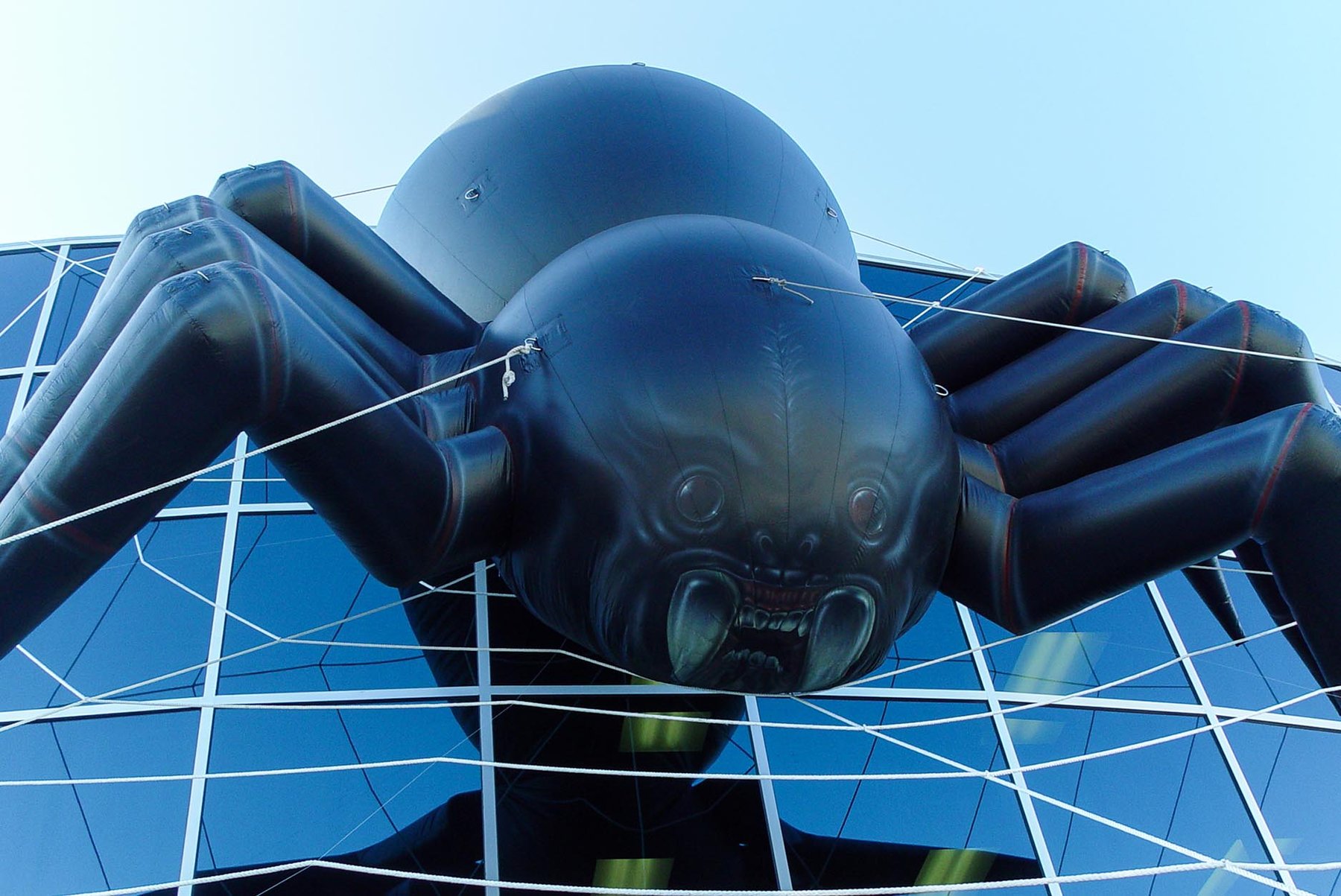 Spider on a Web | Halloween Inflatables