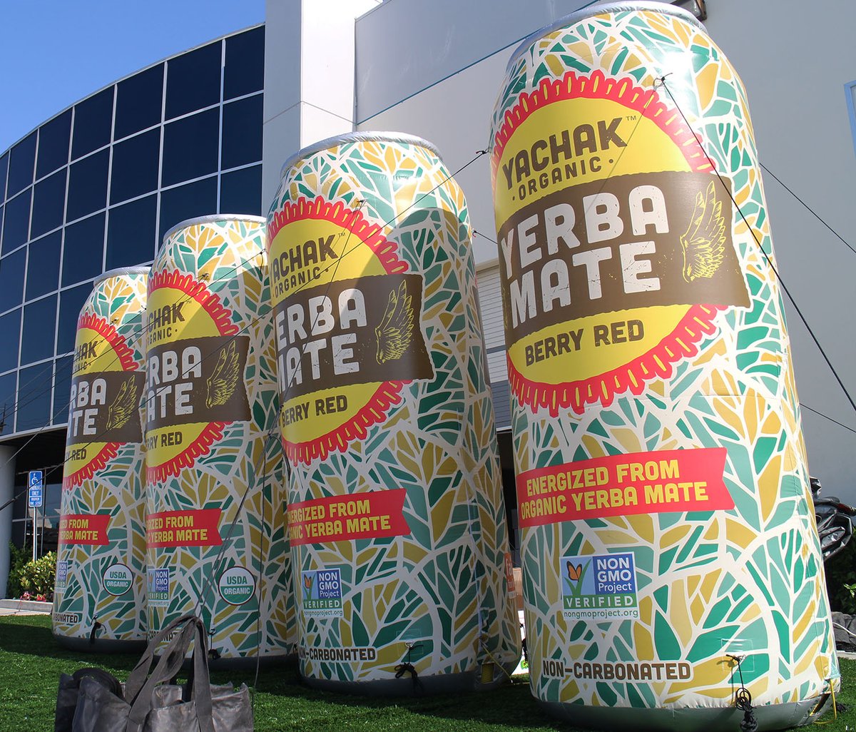 Yachak Yerba Mate
