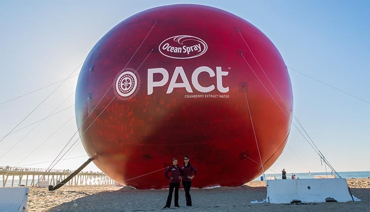 Custom Inflatables | Giant Inflatables | Los Angeles, CA