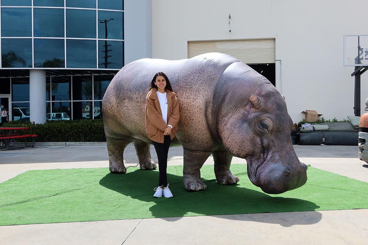 Huge inflatable animals store