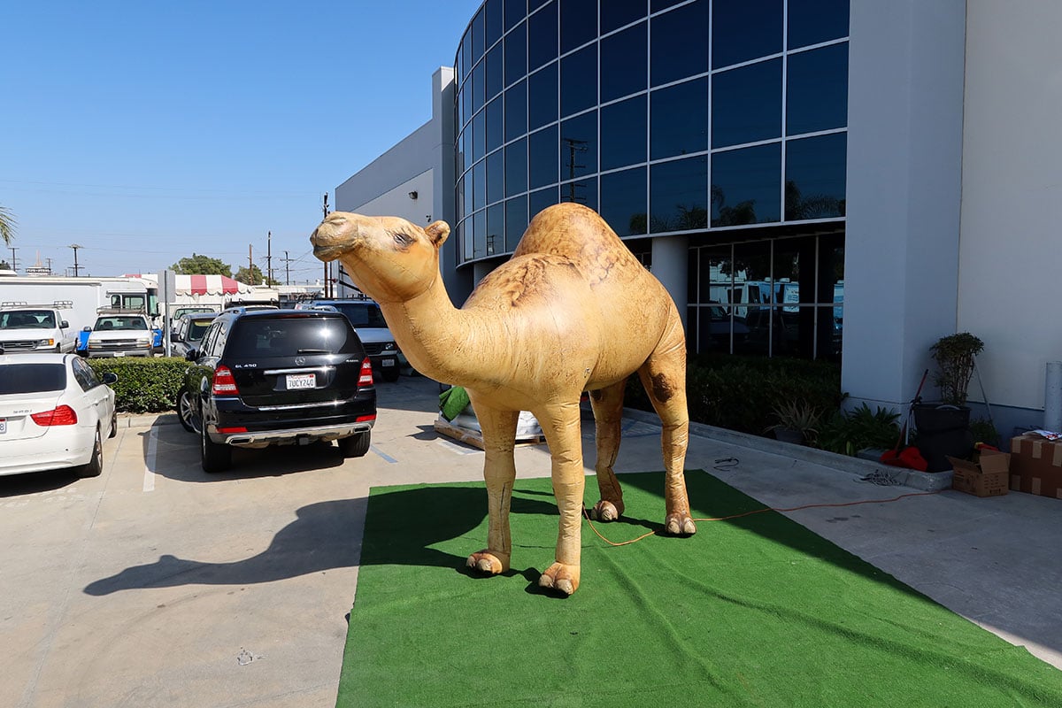 Realistic Animal Inflatables| Custom Inflatables - Made in Los Angeles