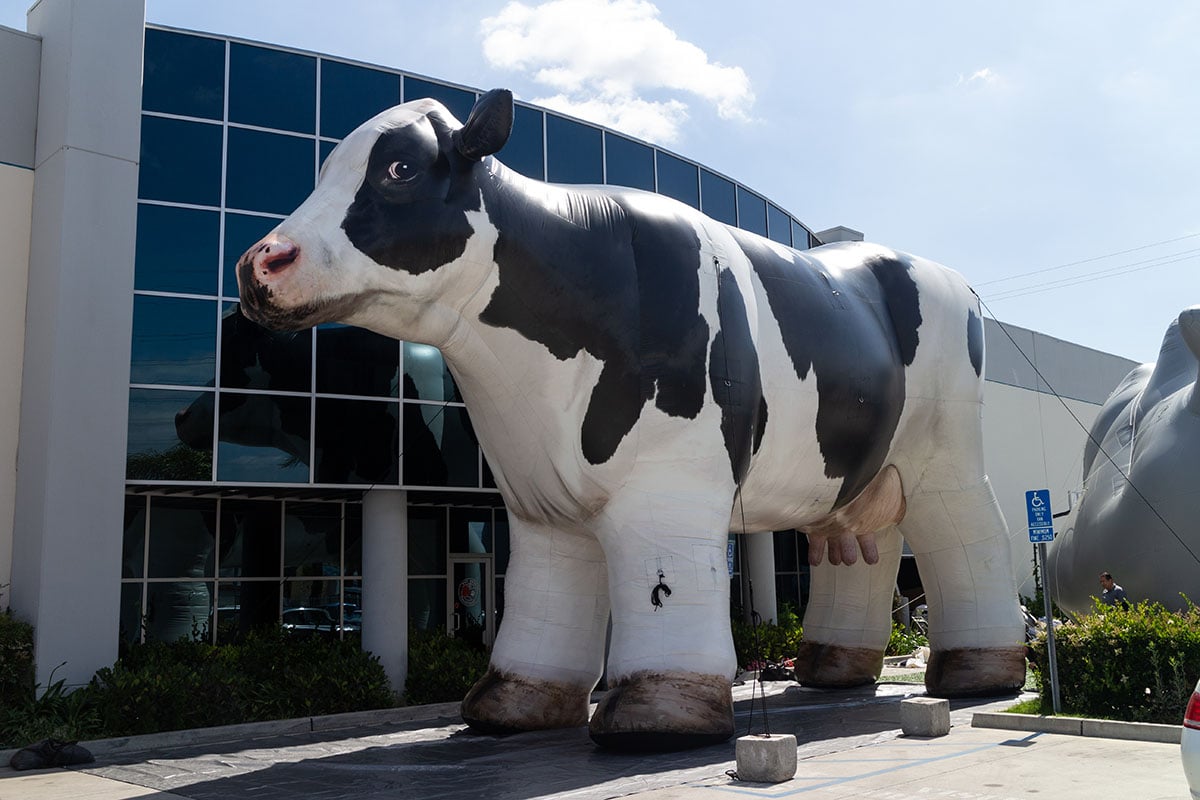 Realistic Animal Inflatables| Custom Inflatables - Made in Los Angeles