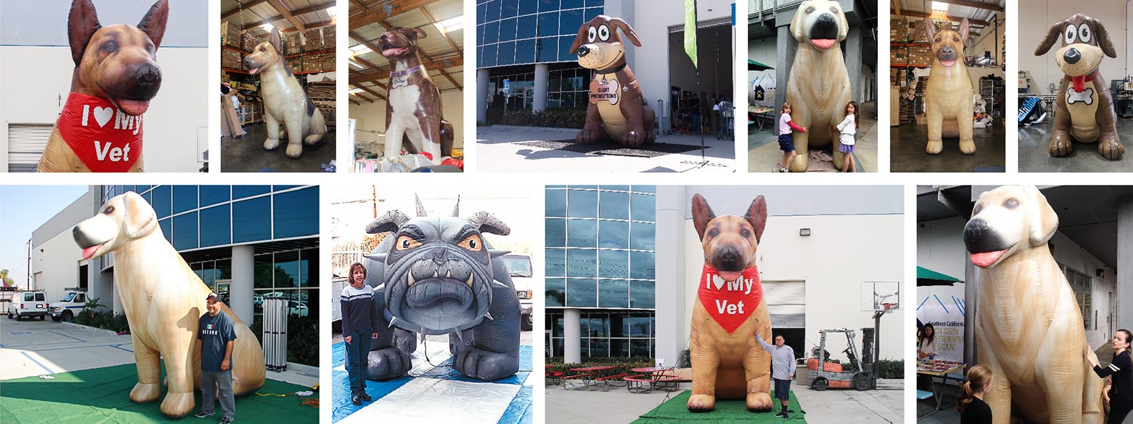 Types of Inflatable Dogs Inflatable Animals