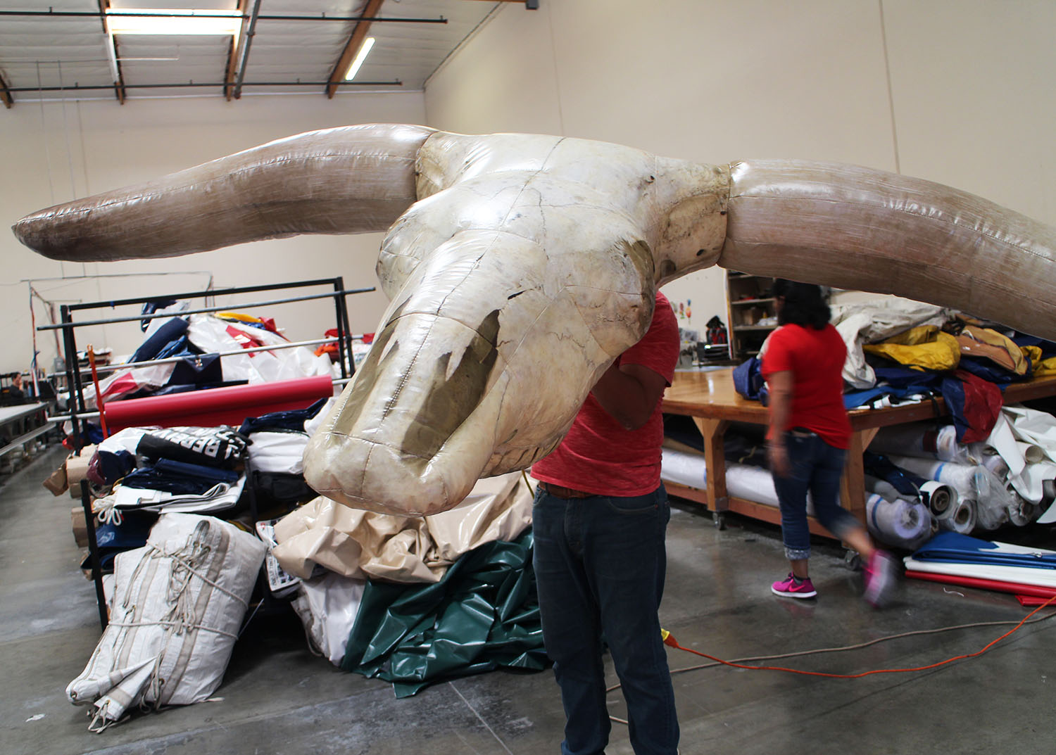 Longhorn Bull Skull | Inflatable Replicas