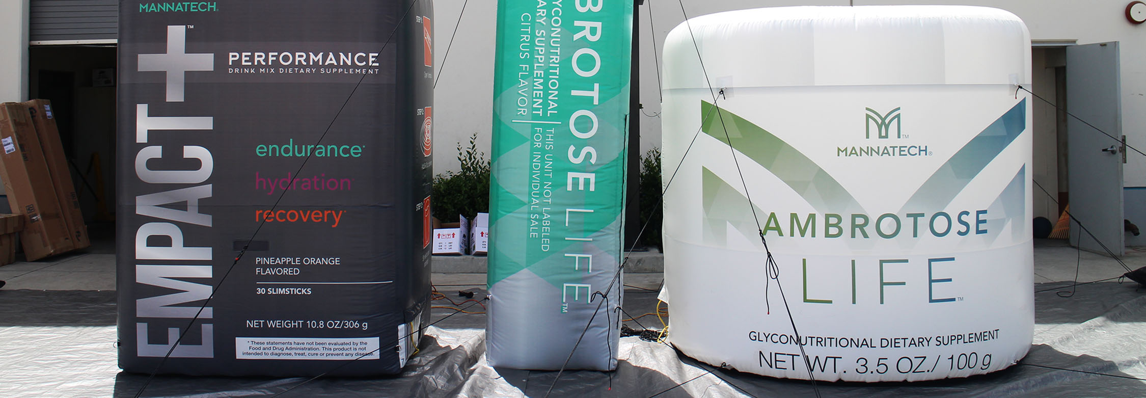 Mannatech Health Products | Custom Inflatables