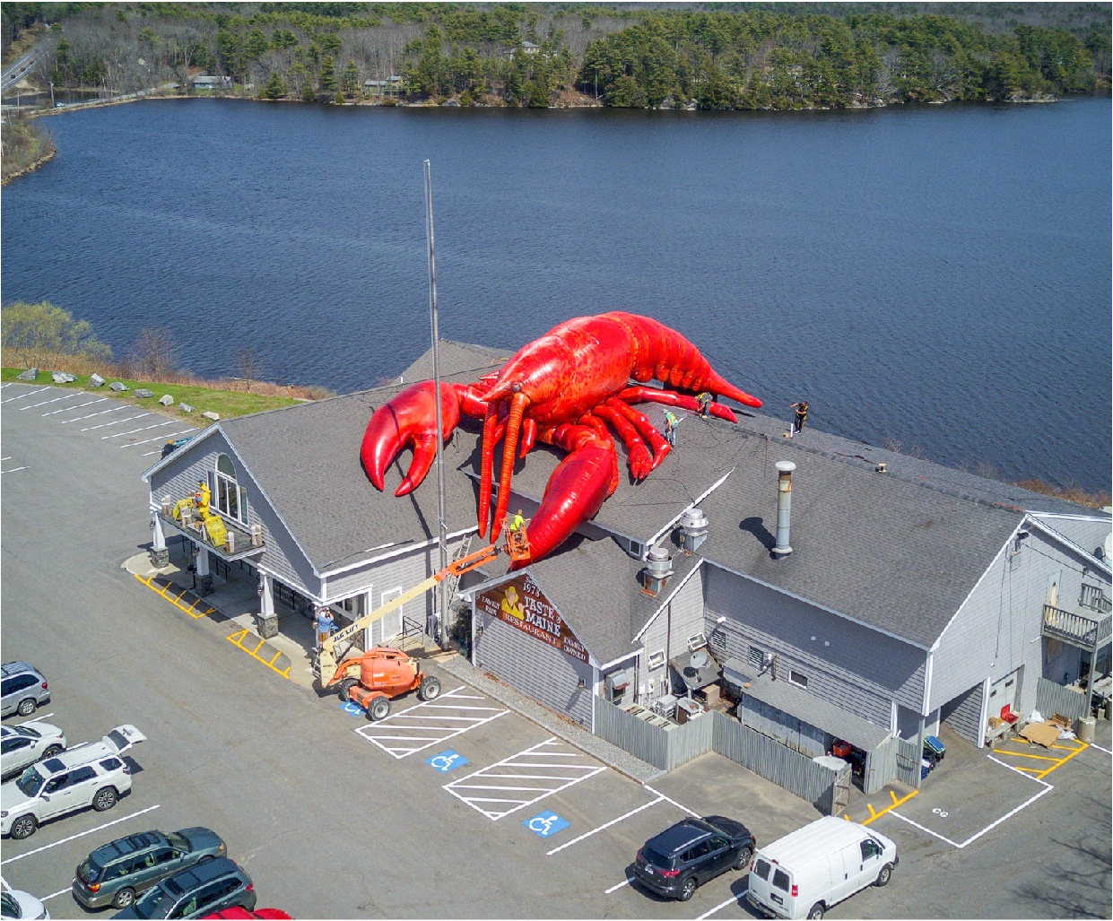 Giant Inflatable Lobster | Inflatable Replicas - Inflatable Animals