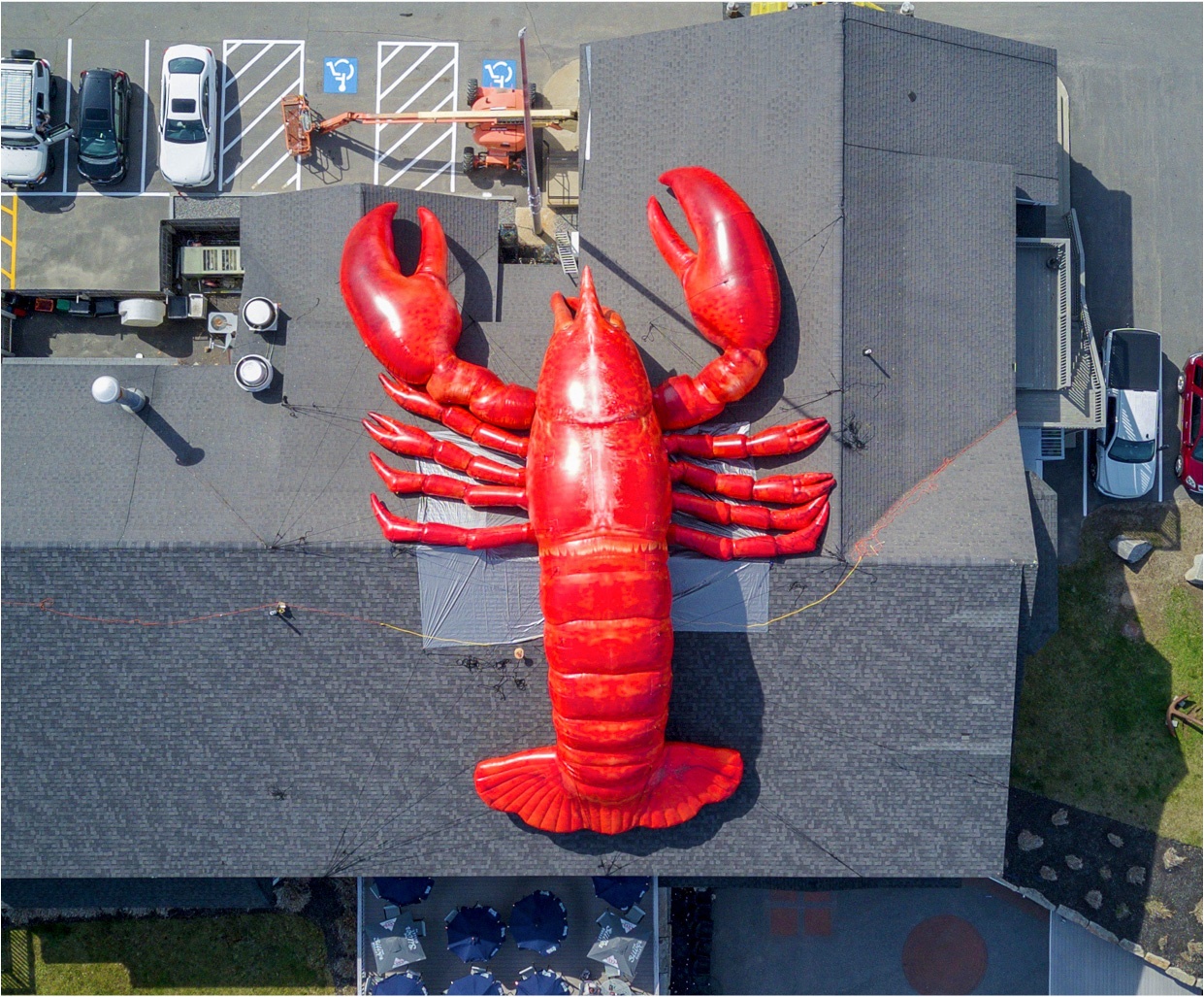 Giant Inflatable Lobster | Inflatable Replicas - Inflatable Animals